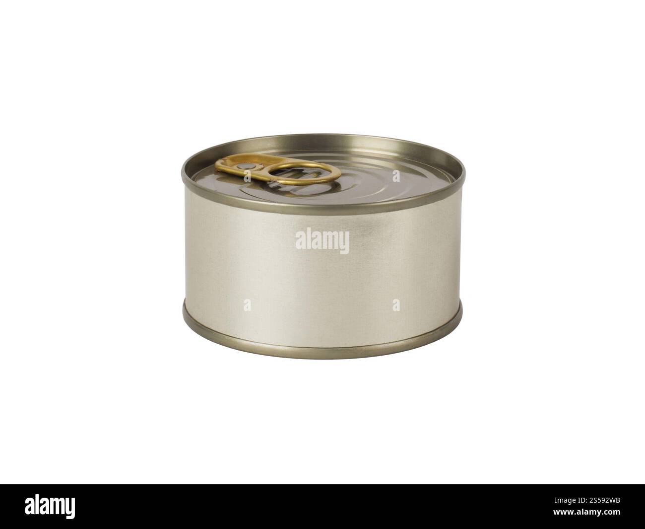 Tin can isolated on white background Stock Photo - Alamy