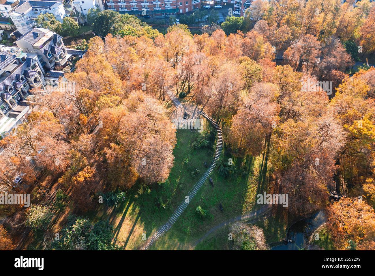 Aerial view of Cyprass at Luodong Sports Park in Yilan County, Taiwan ...