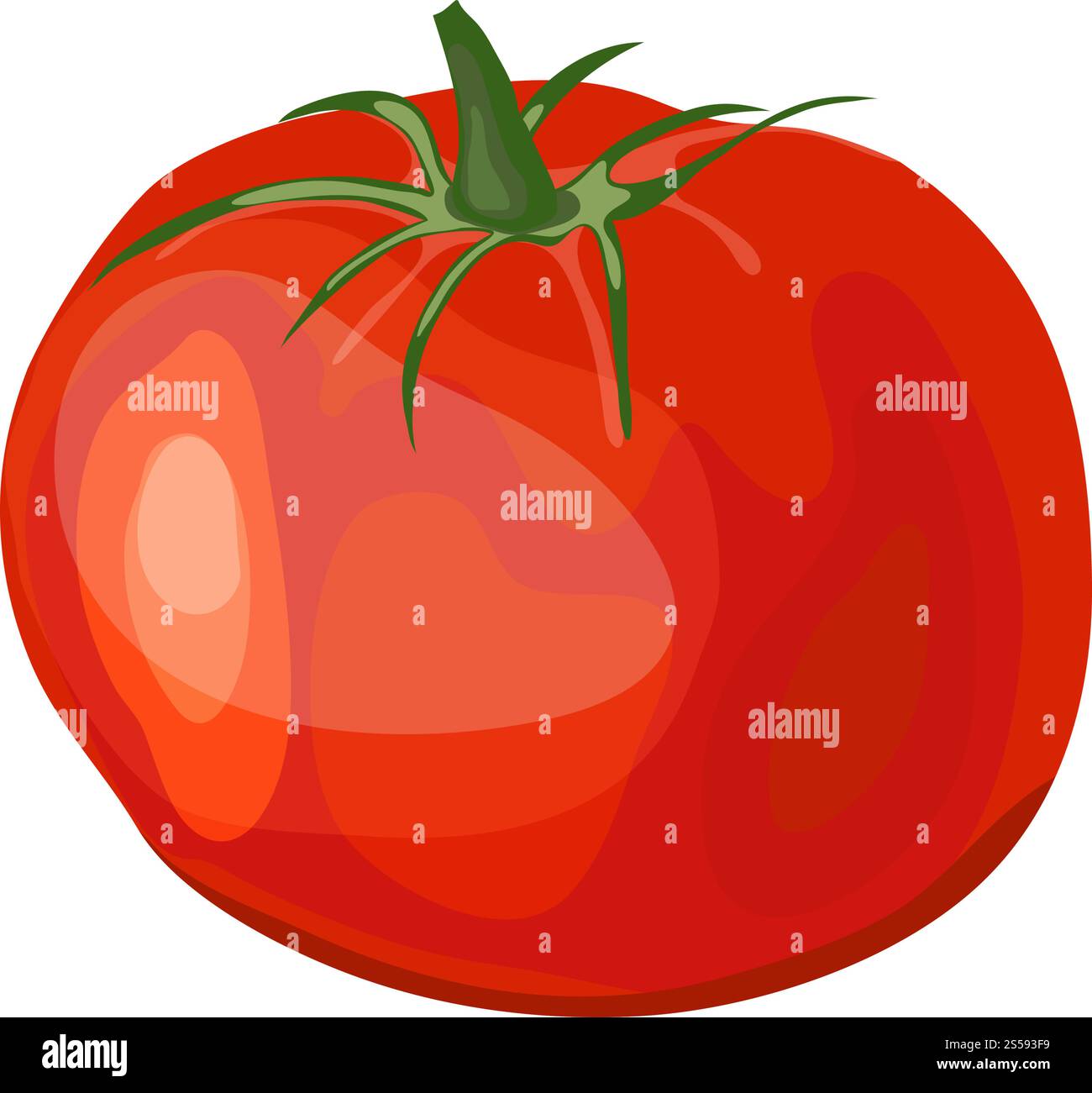Red Tomato. Cartoon Glossy Design. Vector Illustration Stock Vector ...