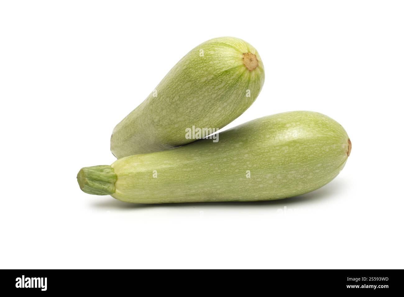 Fresh marrow vegetable. Isolated on white background. Fresh marrow ...