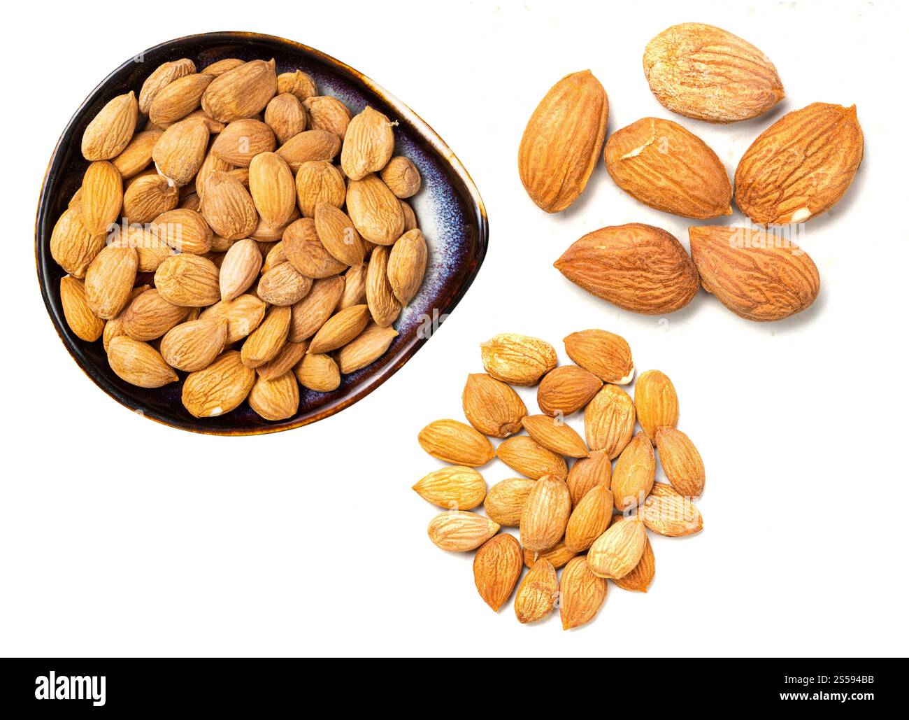 set of various apricot kernels isolated on white background Stock Photo ...
