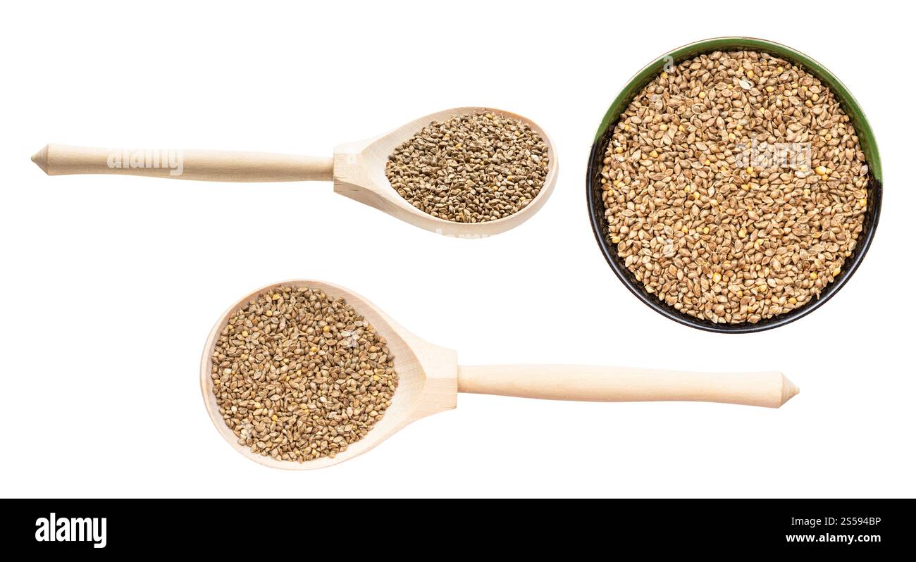 set of various whole-grain barnyard millet seeds isolated on white ...