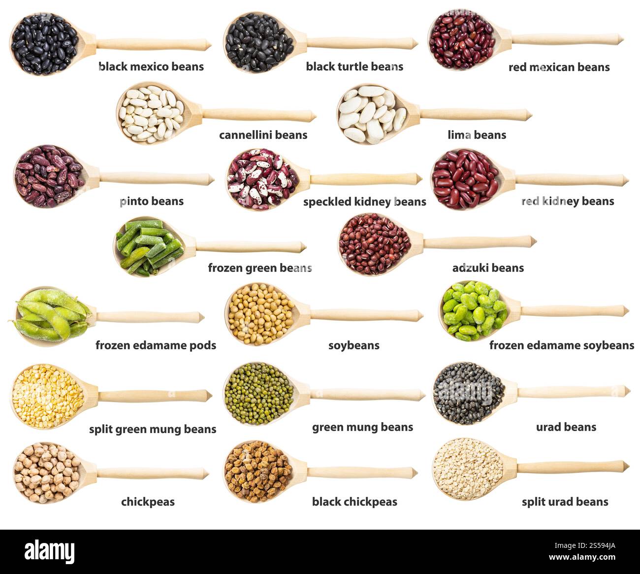 set of top views of wooden spoon with various beans with names isolated ...