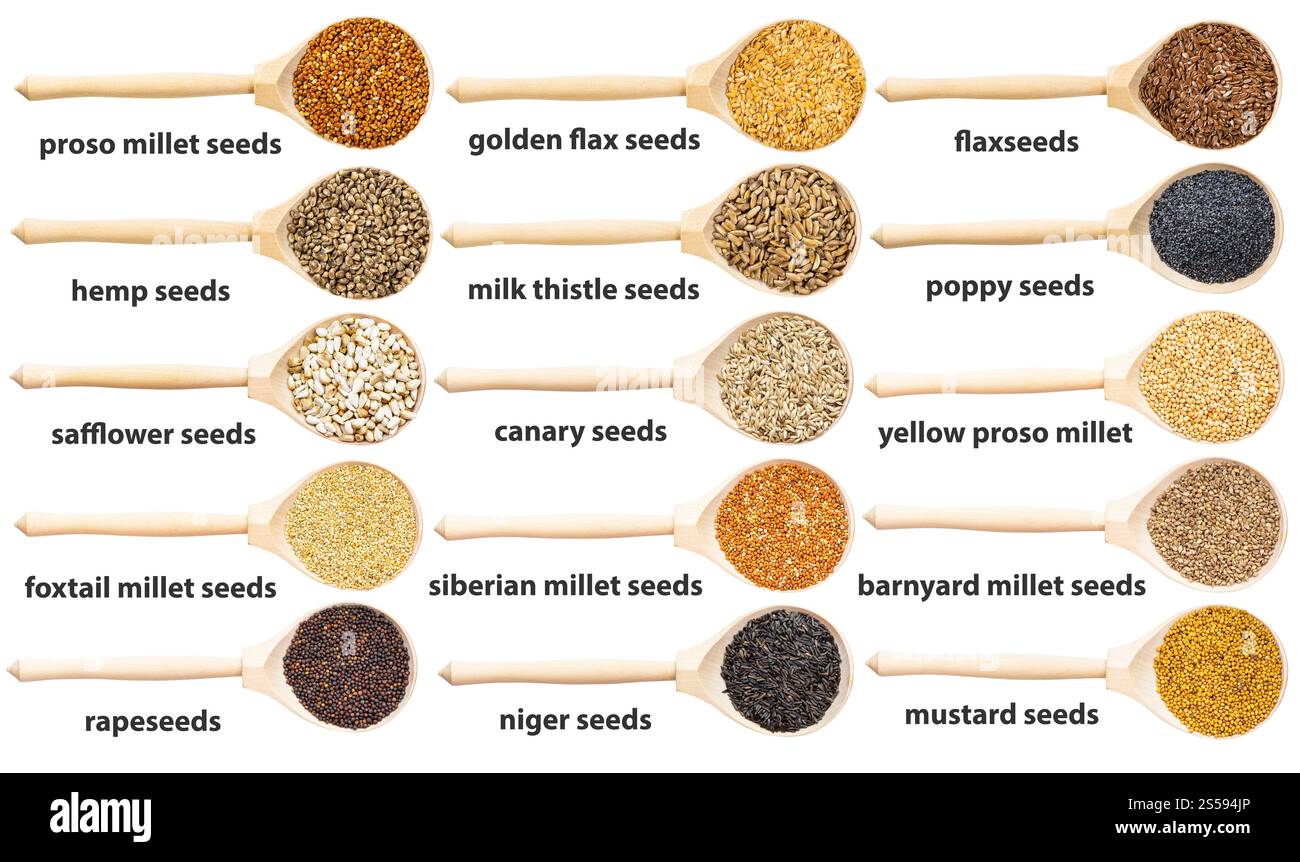 set of top views of wooden spoon with various seeds with names isolated ...