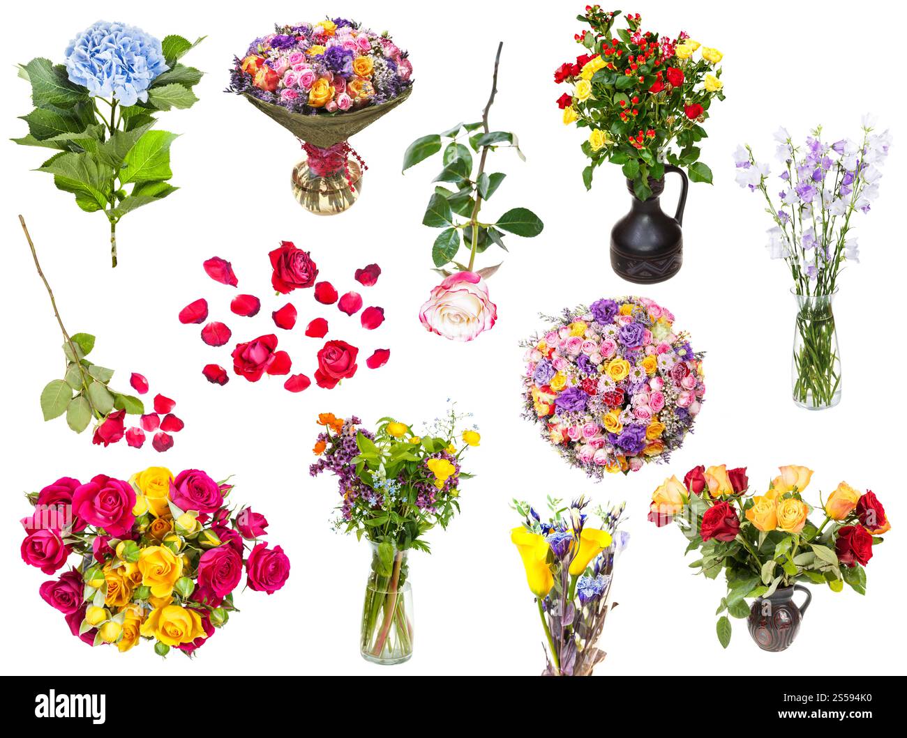 set of various blooms and bouquets of flowers isolated on white ...