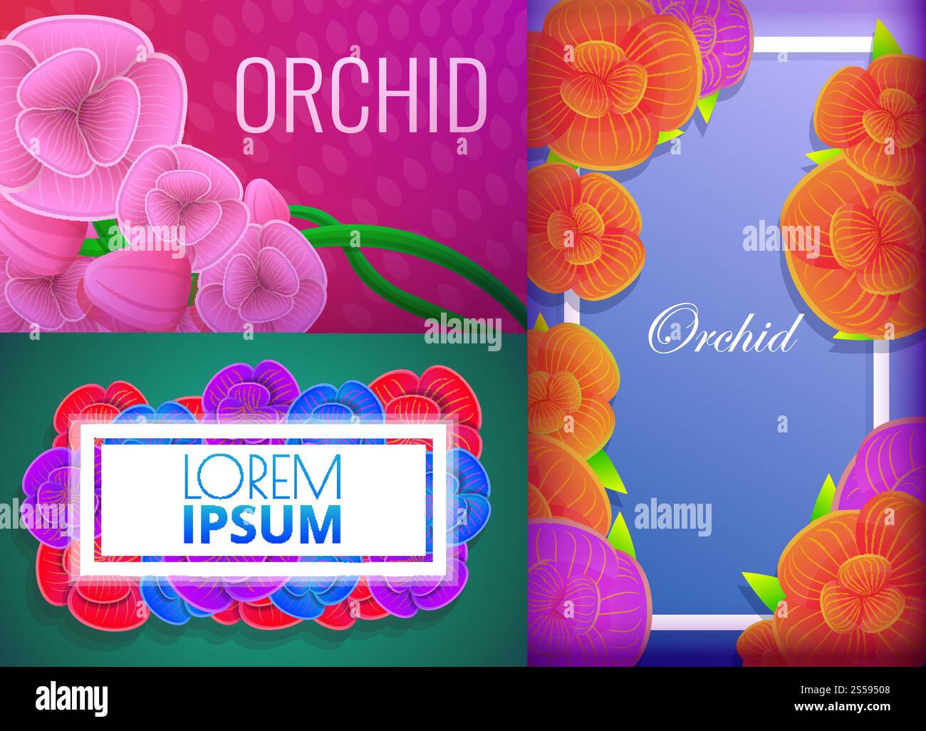 Orchid banner set. Cartoon illustration of orchid vector banner set for ...