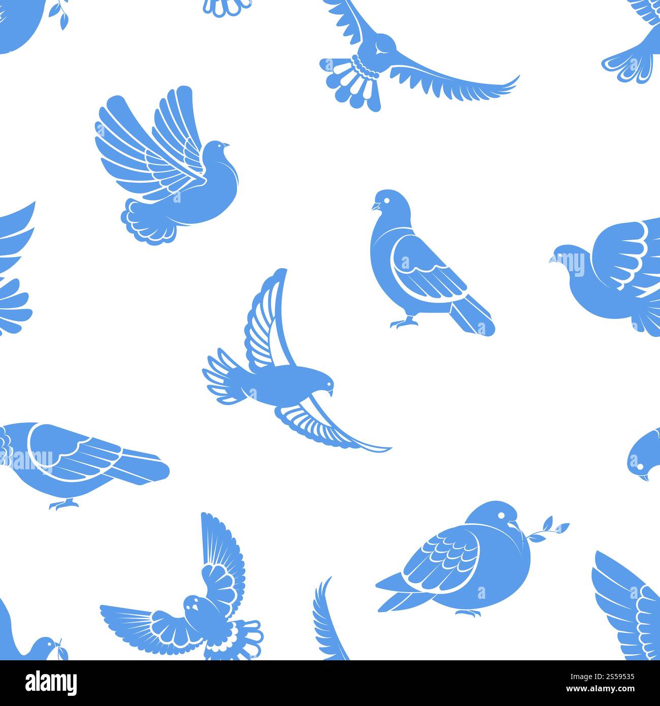 Pigeon or dove, white bird flying with spread wings in sky or sitting ...