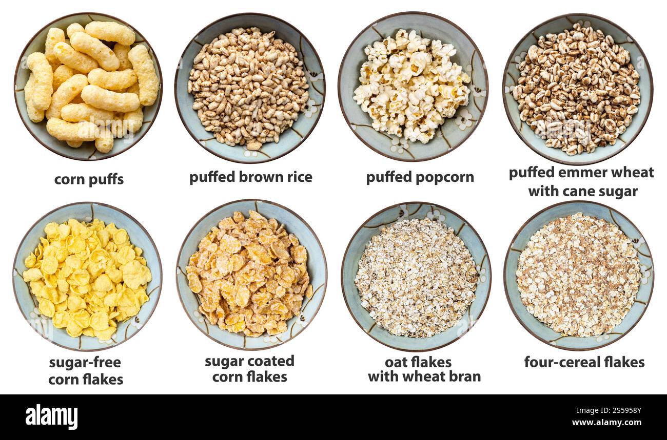 set of various precooked grains in blue round bowls with names isolated ...