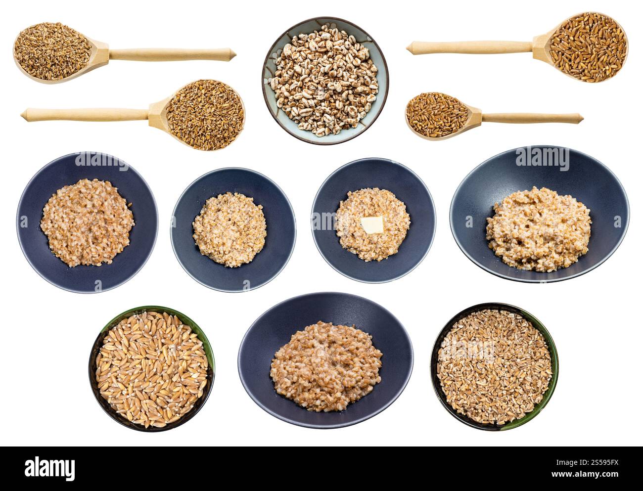 set of various cooked and raw emmer wheat grains isolated on white ...