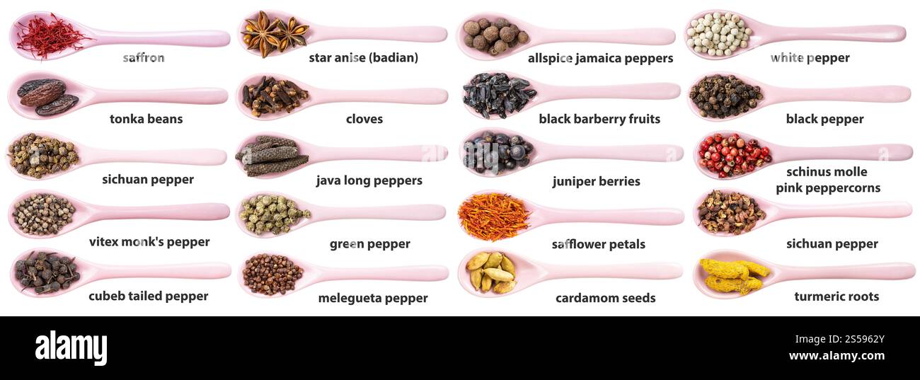 set of ceramic spoons with various spices with names isolated on white ...