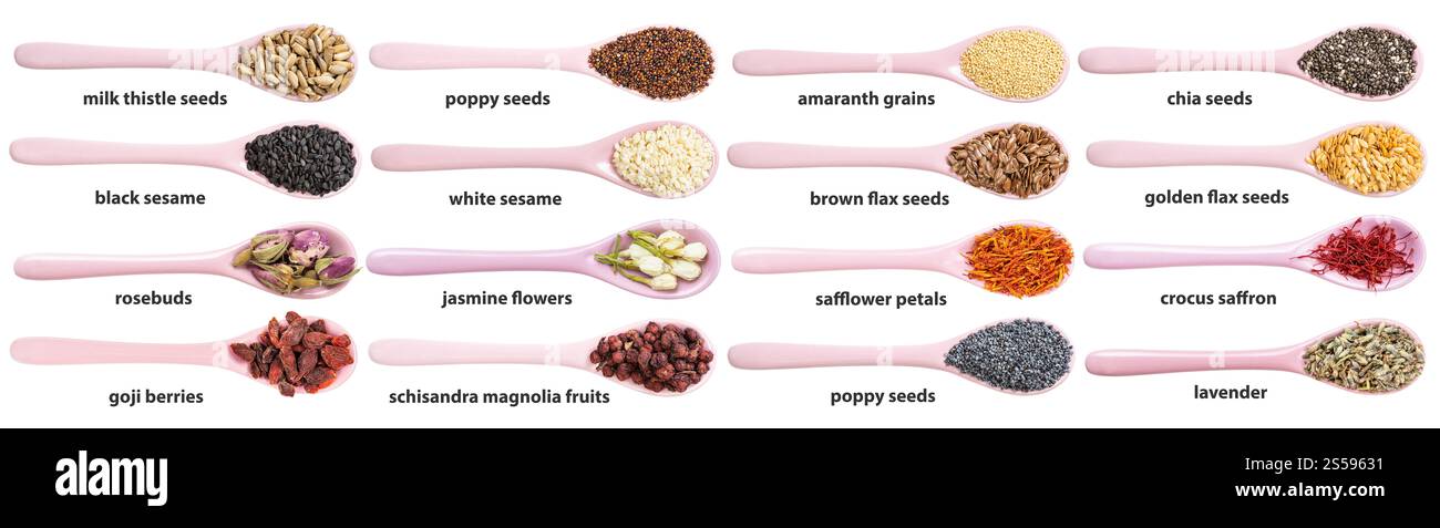 set of ceramic spoons with various flavoring seeds with names isolated ...
