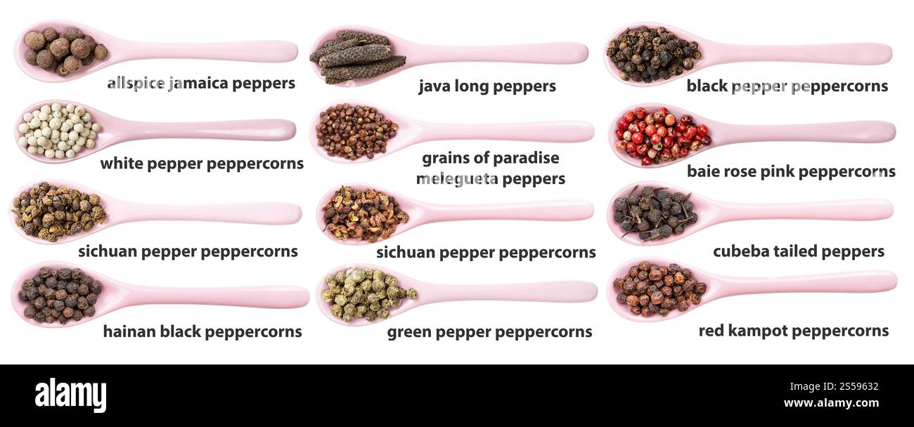 set of ceramic spoons with various peppercorns with names isolated on ...