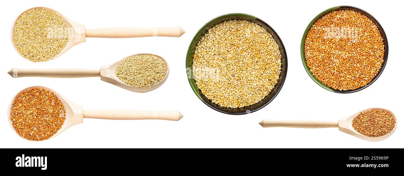 set of various setaria italica millet seeds isolated on white ...