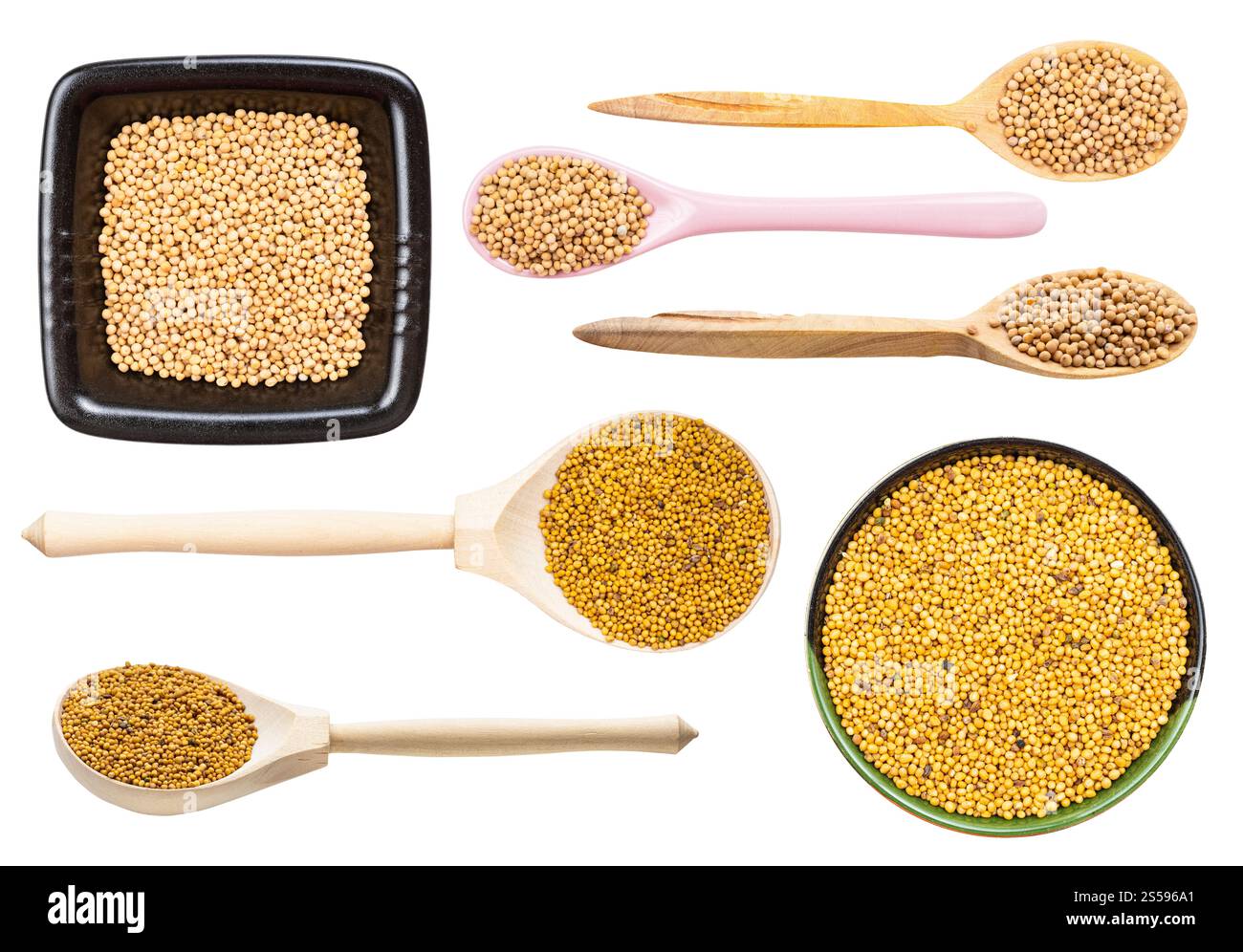 set of various seeds of Sinapis Alba mustard isolated on white ...