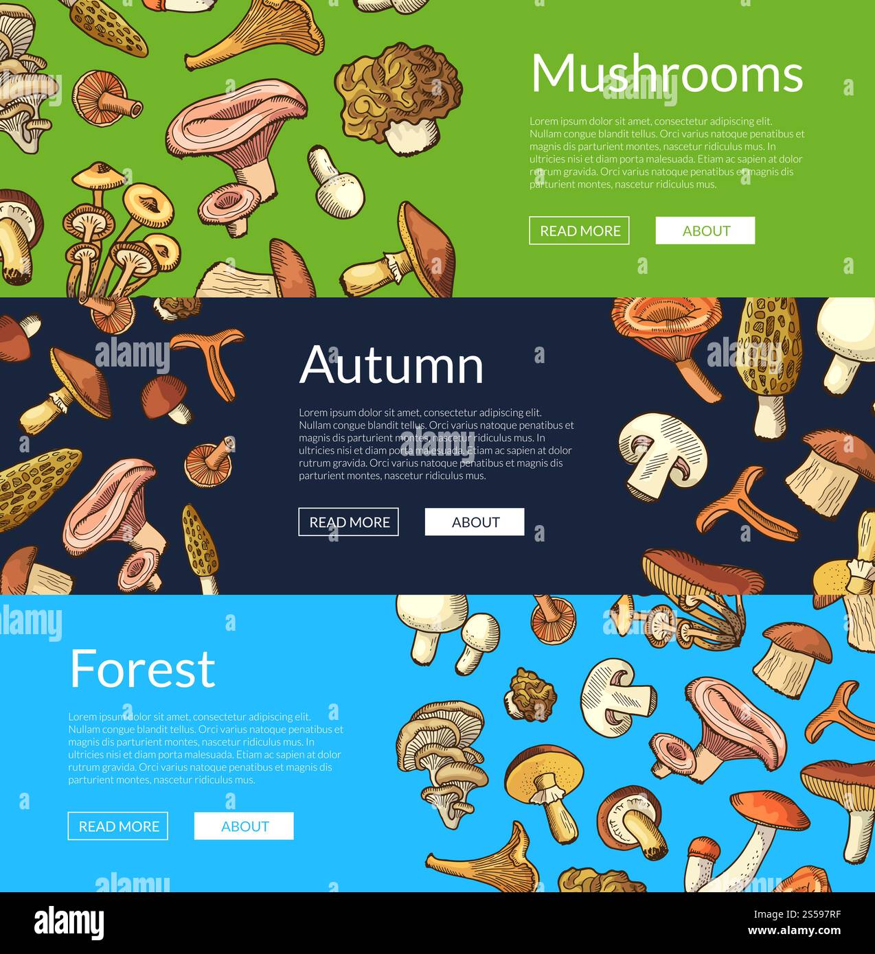 Vector hand drawn food fresh edible mushrooms horizontal web banners ...