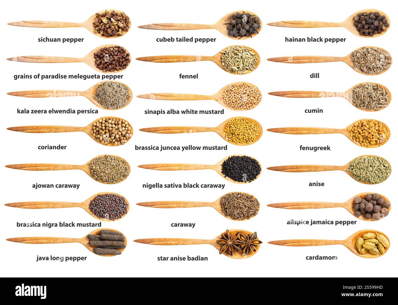 set of top view of wood spoon with various flavoring seeds with names ...
