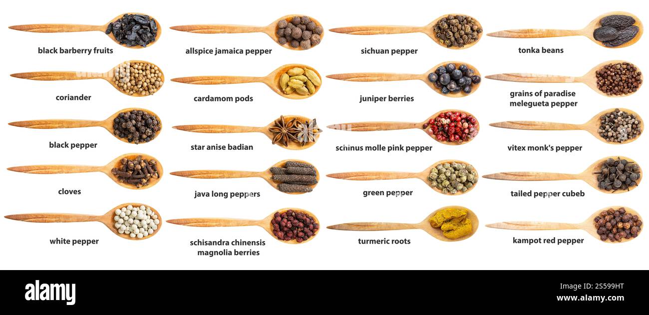 set of top view of wood spoon with various spices with names isolated ...