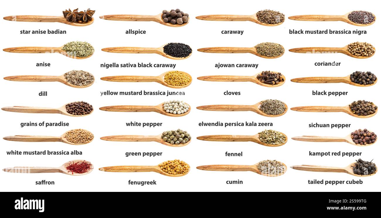 set of various spices in wooden spoon with names isolated on white ...