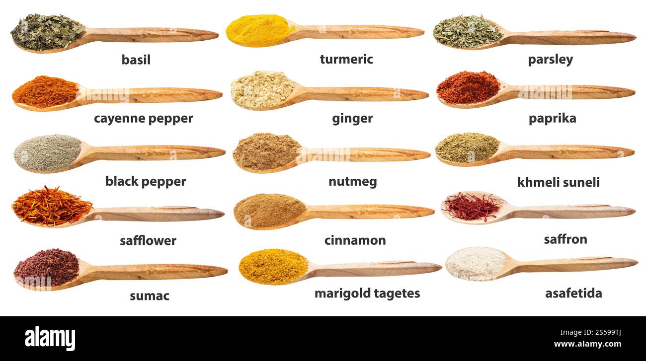 set of various ground spices in wooden spoon with names isolated on ...