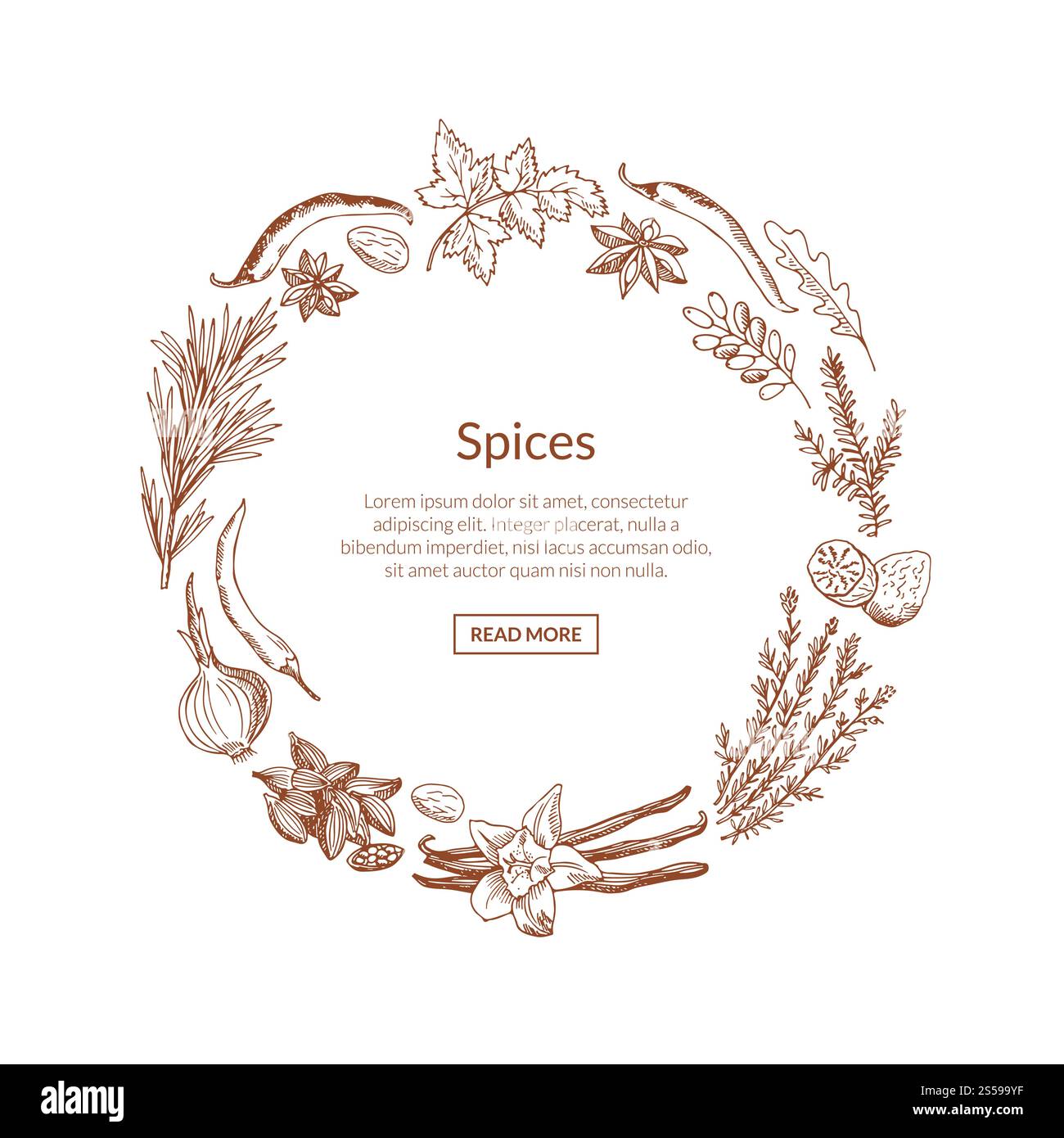 Vector hand drawn herbs and spices in circle form with place for text ...