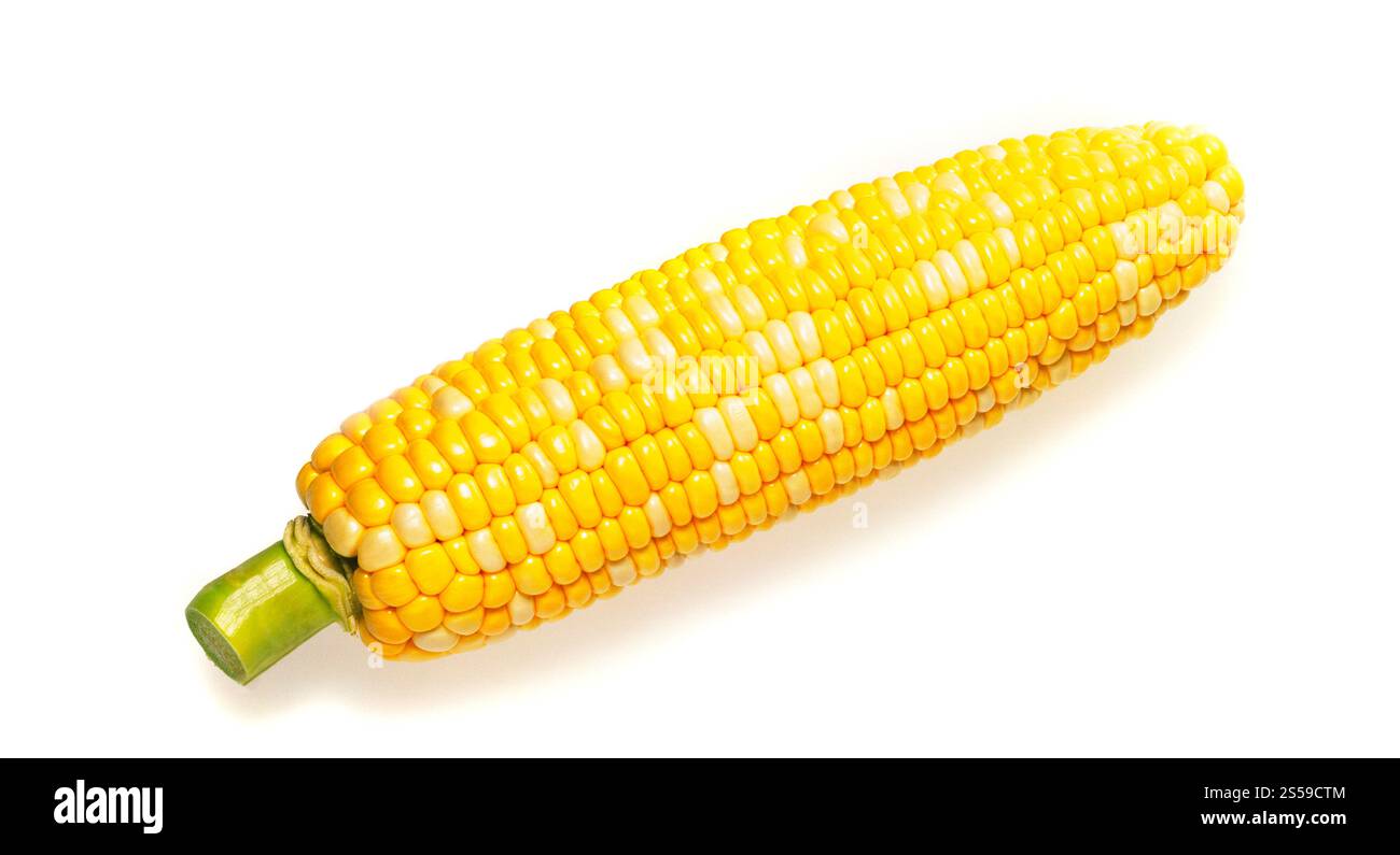 Fresh raw corn cob isolated on the white. Fresh raw corn cob Stock ...