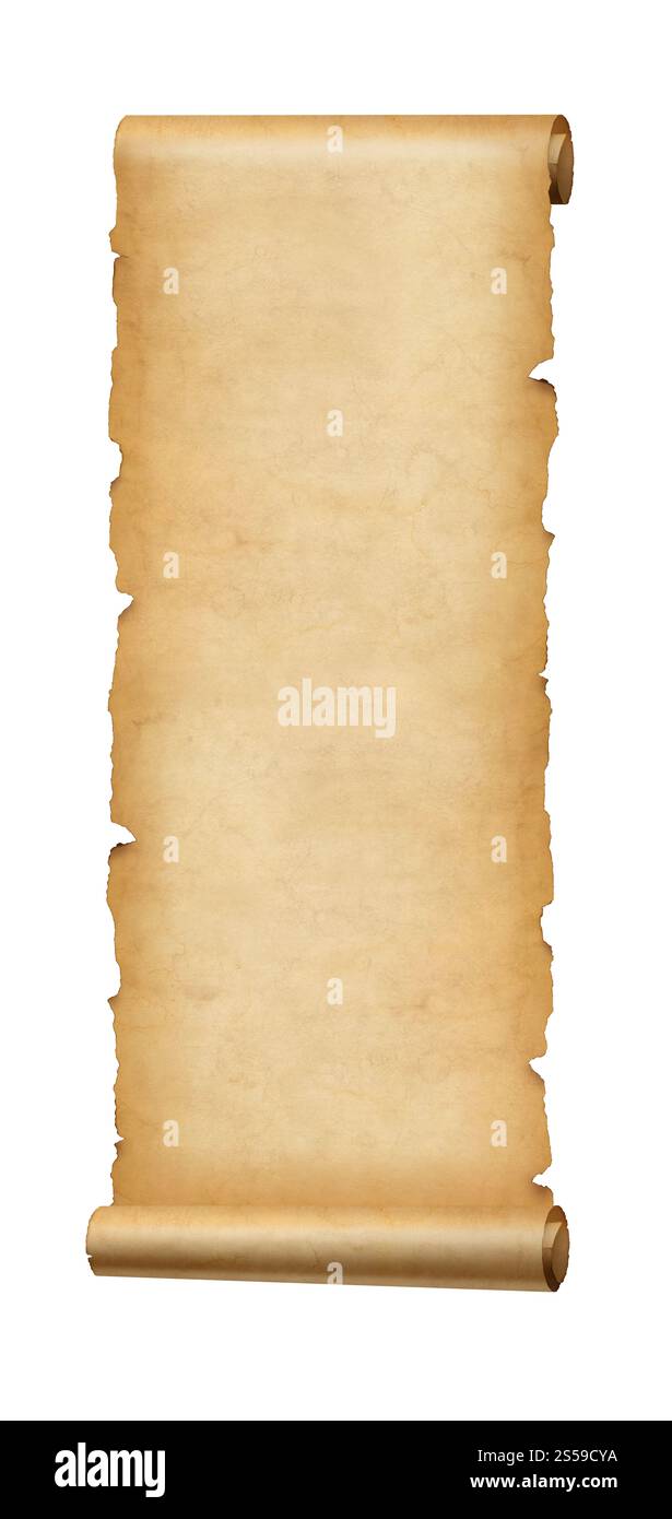 Old paper vertical banner. Parchment scroll isolated on white ...