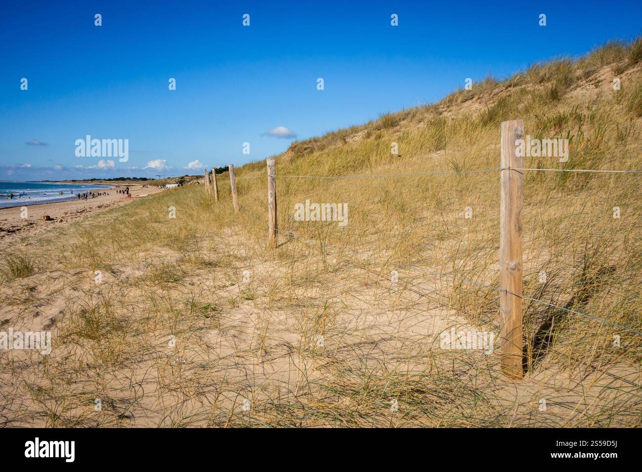 Sand dune and fence on a beach, Re Island, France. Blue sky background ...