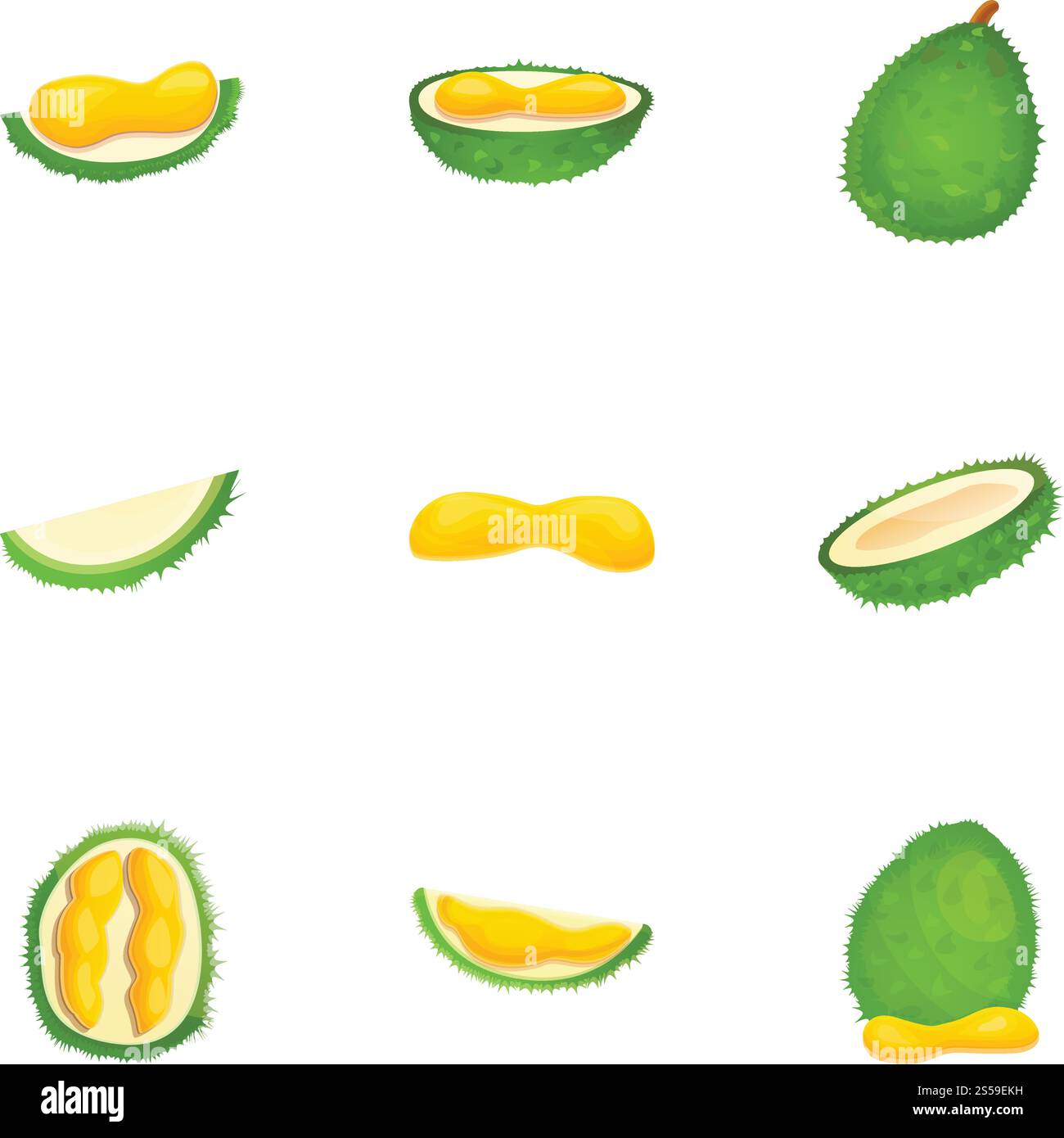 Fresh durian icon set. Cartoon set of 9 fresh durian vector icons for ...