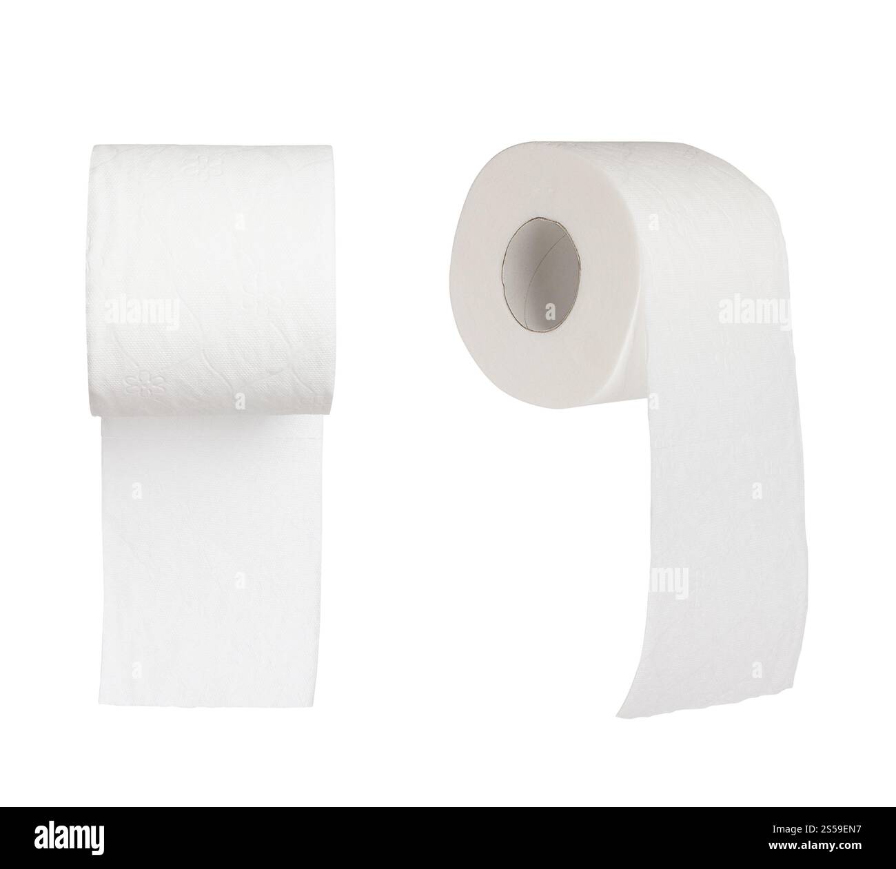 two toilet papers isolated on white background. two toilet papers on ...