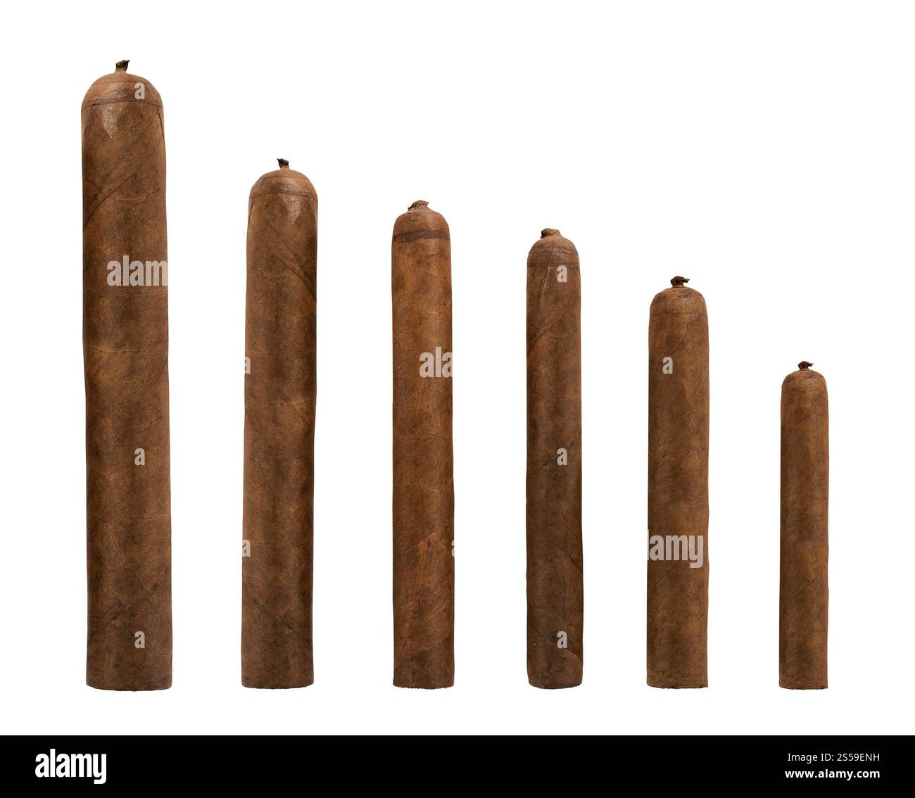 isolated cigars all sizes isolated on white background. isolated cigars ...