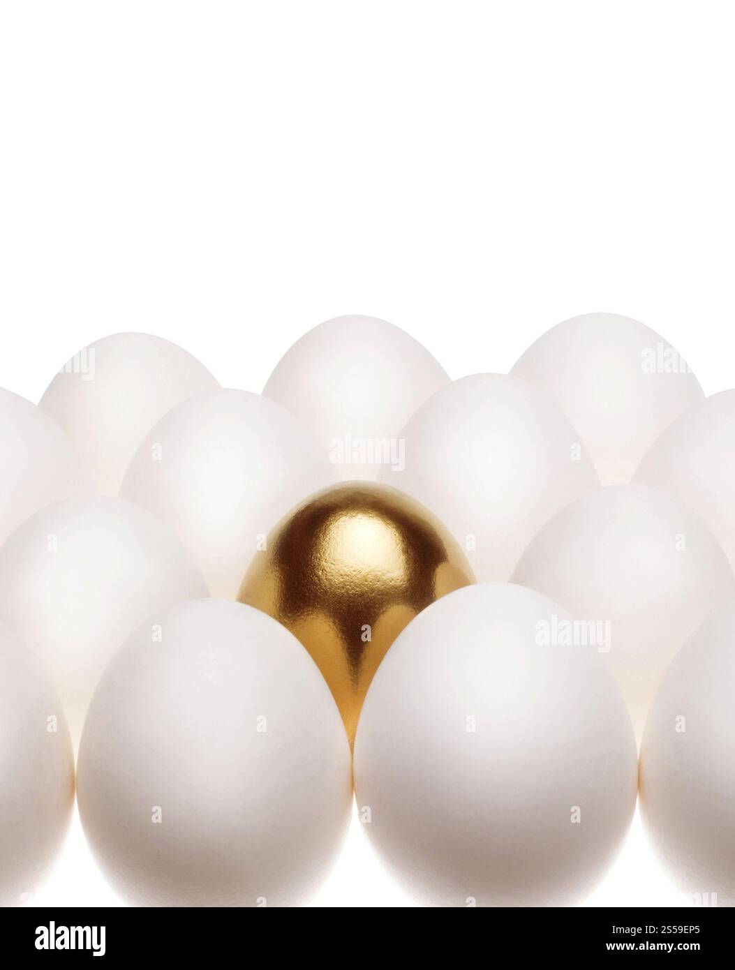 one gold egg lays among common white eggs isolated on white background ...