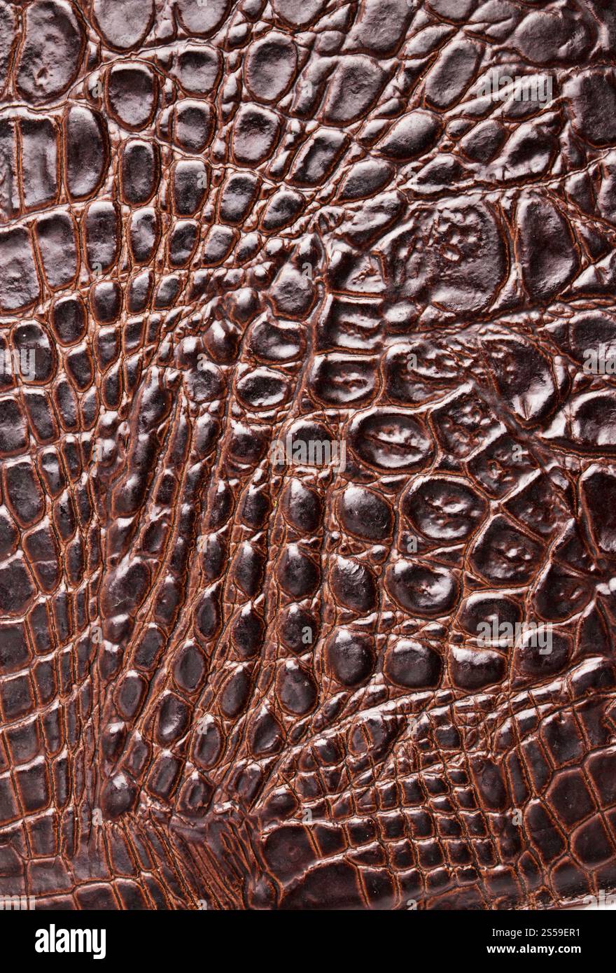 Crocodile skin texture or background. Crocodile skin texture Stock ...