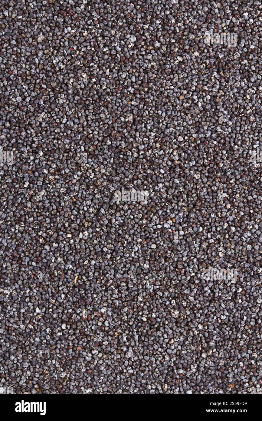 poppy seeds background or texture. poppy seeds background Stock Photo ...