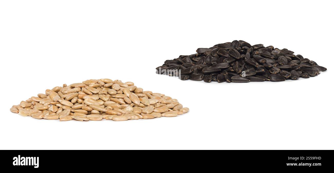 fresh sunflower seeds isolated on a white background. fresh sunflower ...