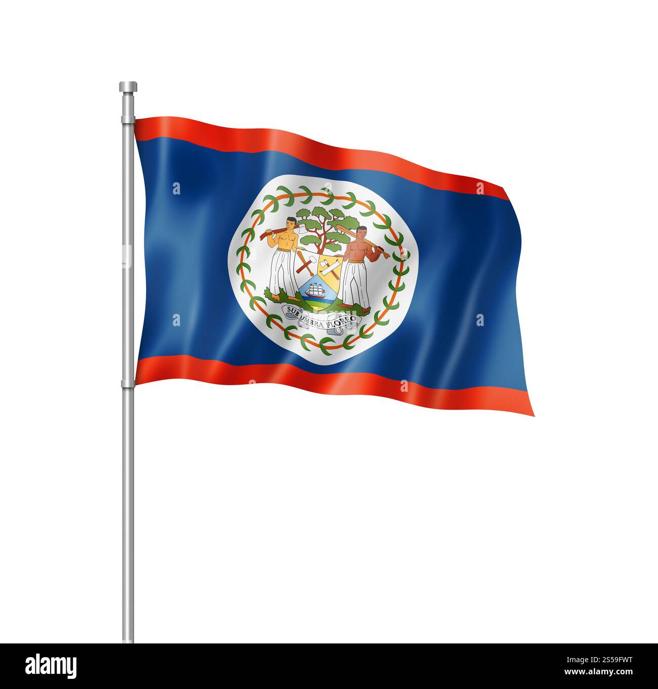 Belize flag, three dimensional render, isolated on white. Belize flag ...