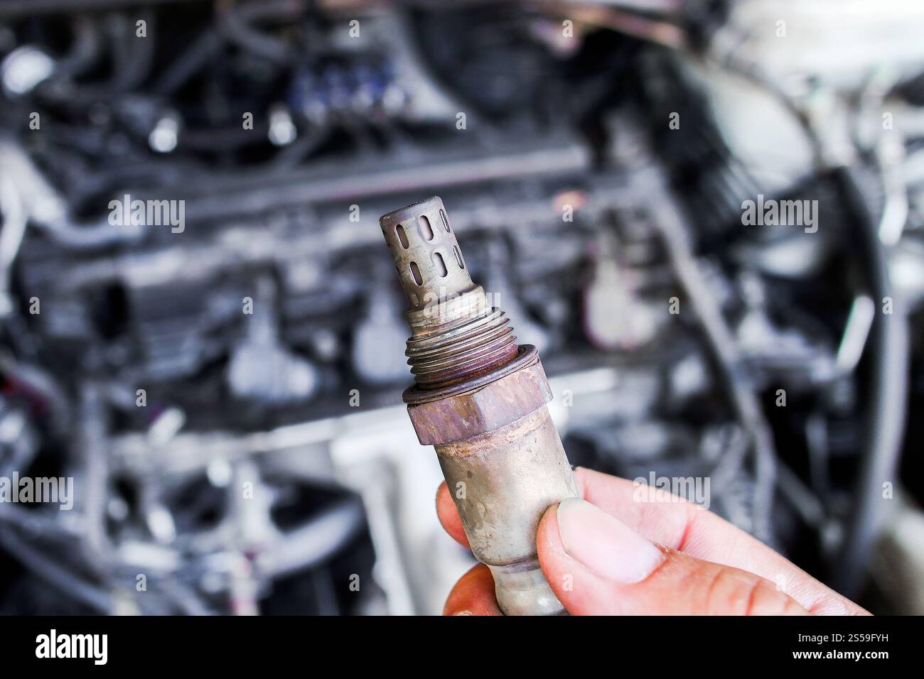 Oxygen sensor or O2 sensor of car engine , Automotive parts concept ...