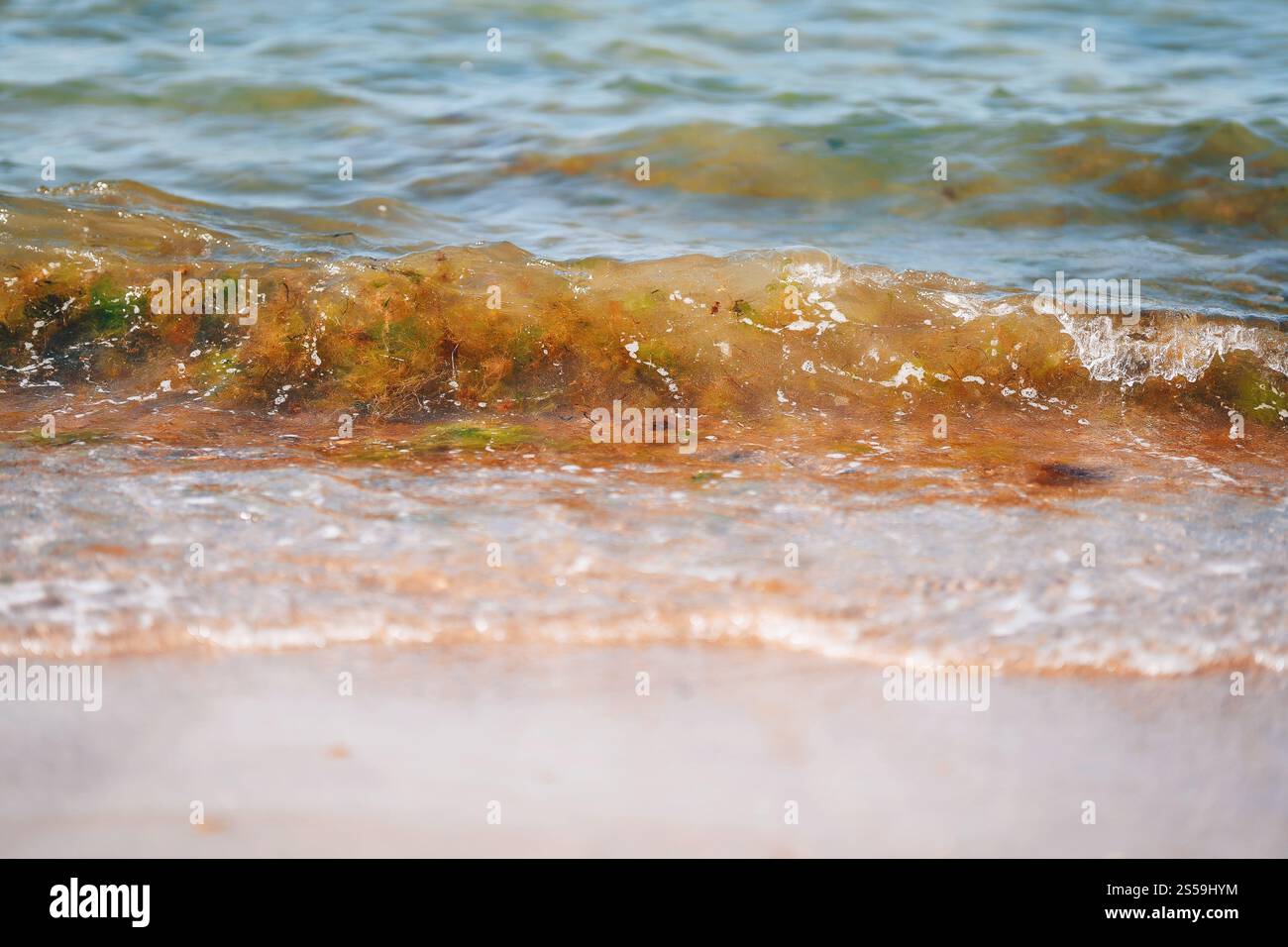 Plastic waste istanbul hi-res stock photography and images - Alamy