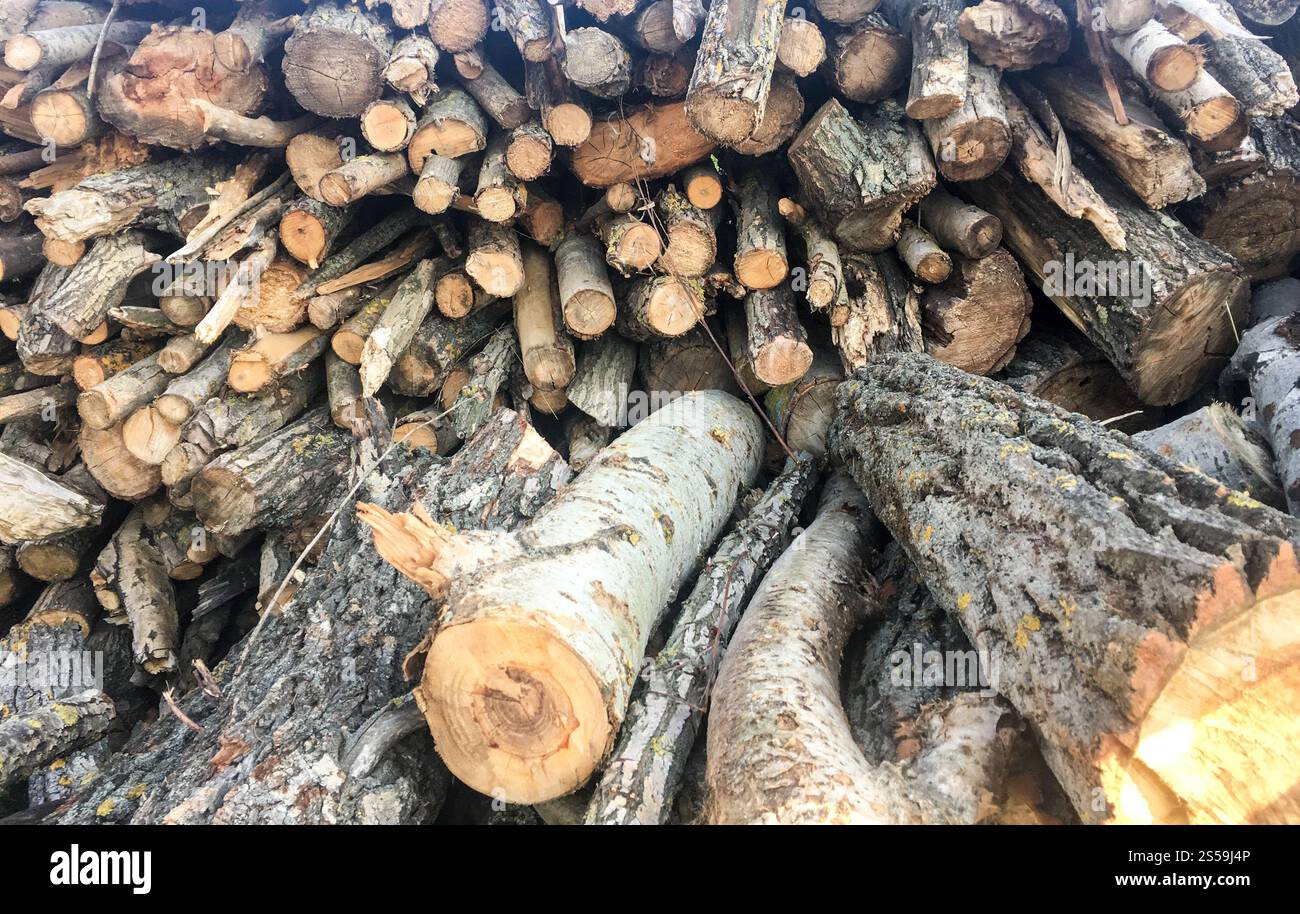 Stacked Logs Texture, Natural Background Stock Photo - Alamy