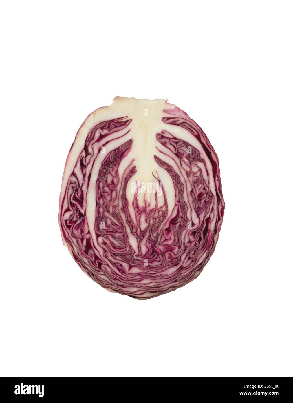 Red Cabbage cross section on White Background. Red Cabbage cross ...