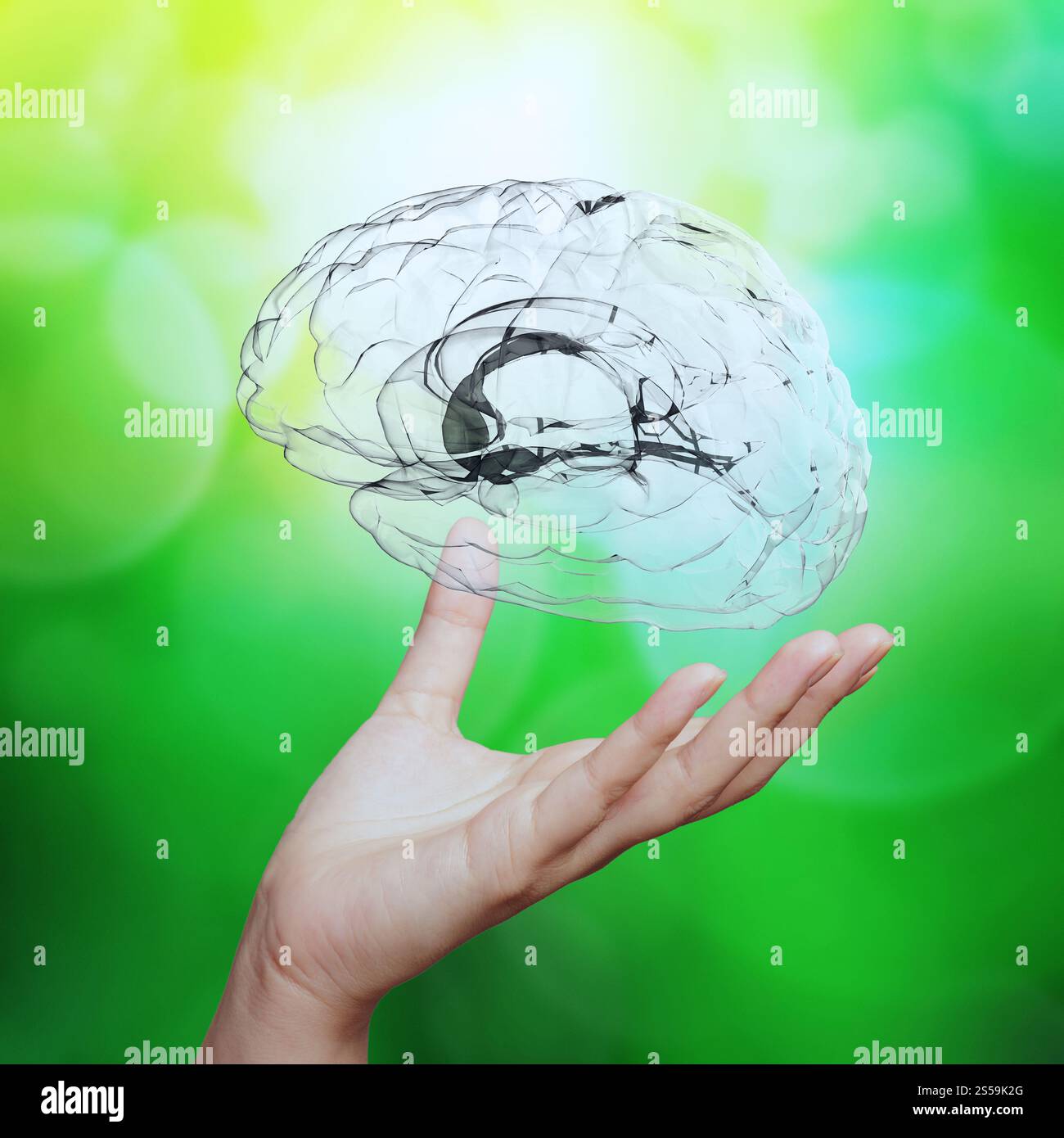 medical doctor hand showing 3d glass human brain on nature background ...