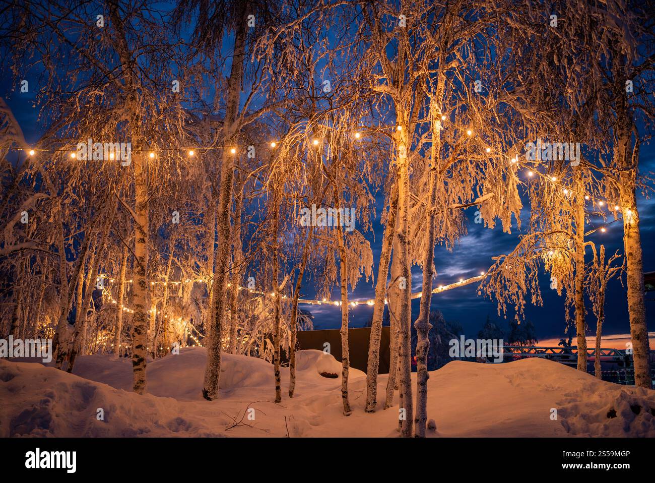 Essence of winter festivities hi-res stock photography and images - Alamy