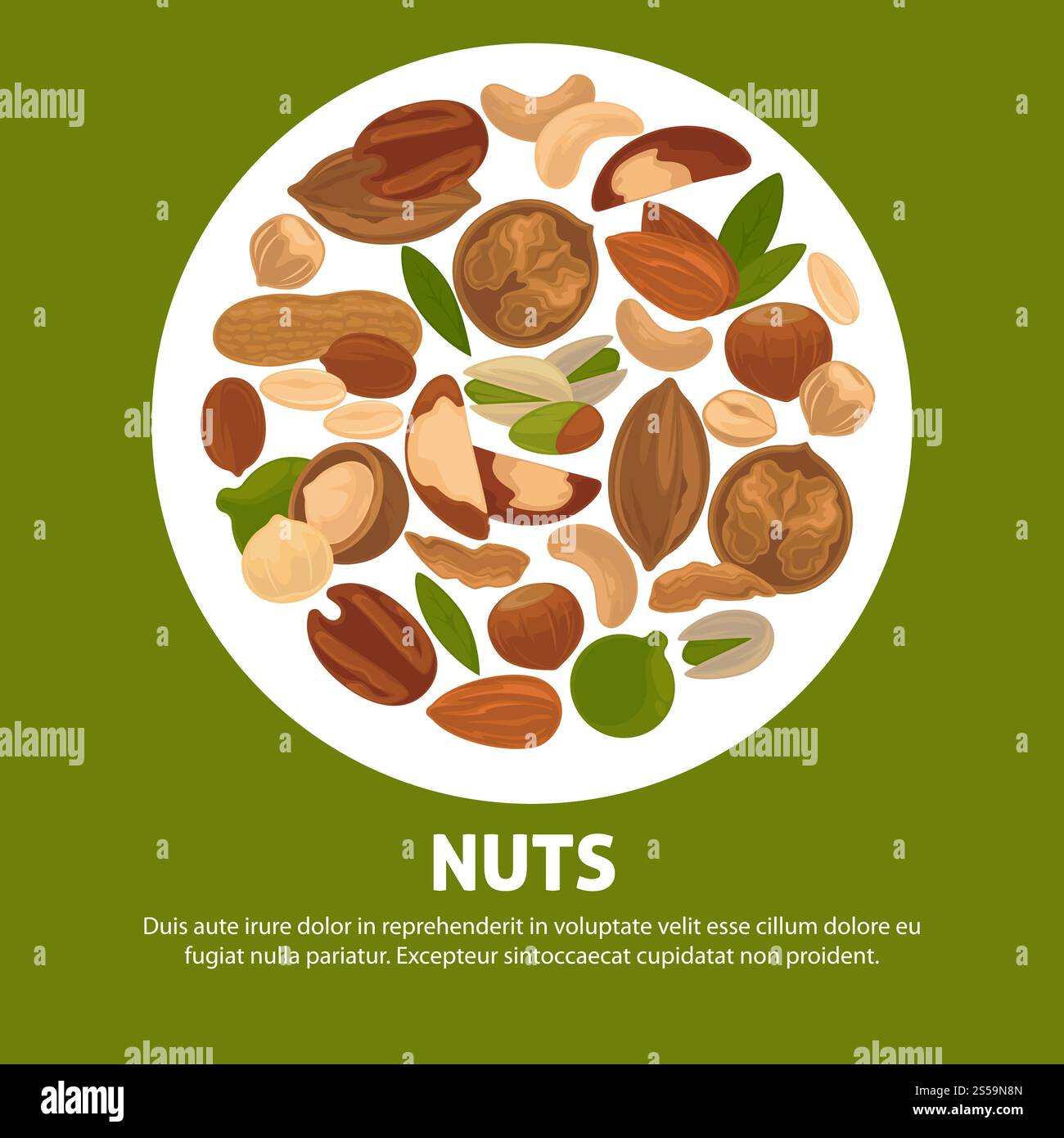 Delicious nutritious nuts advertisement banner with italic sign inside ...