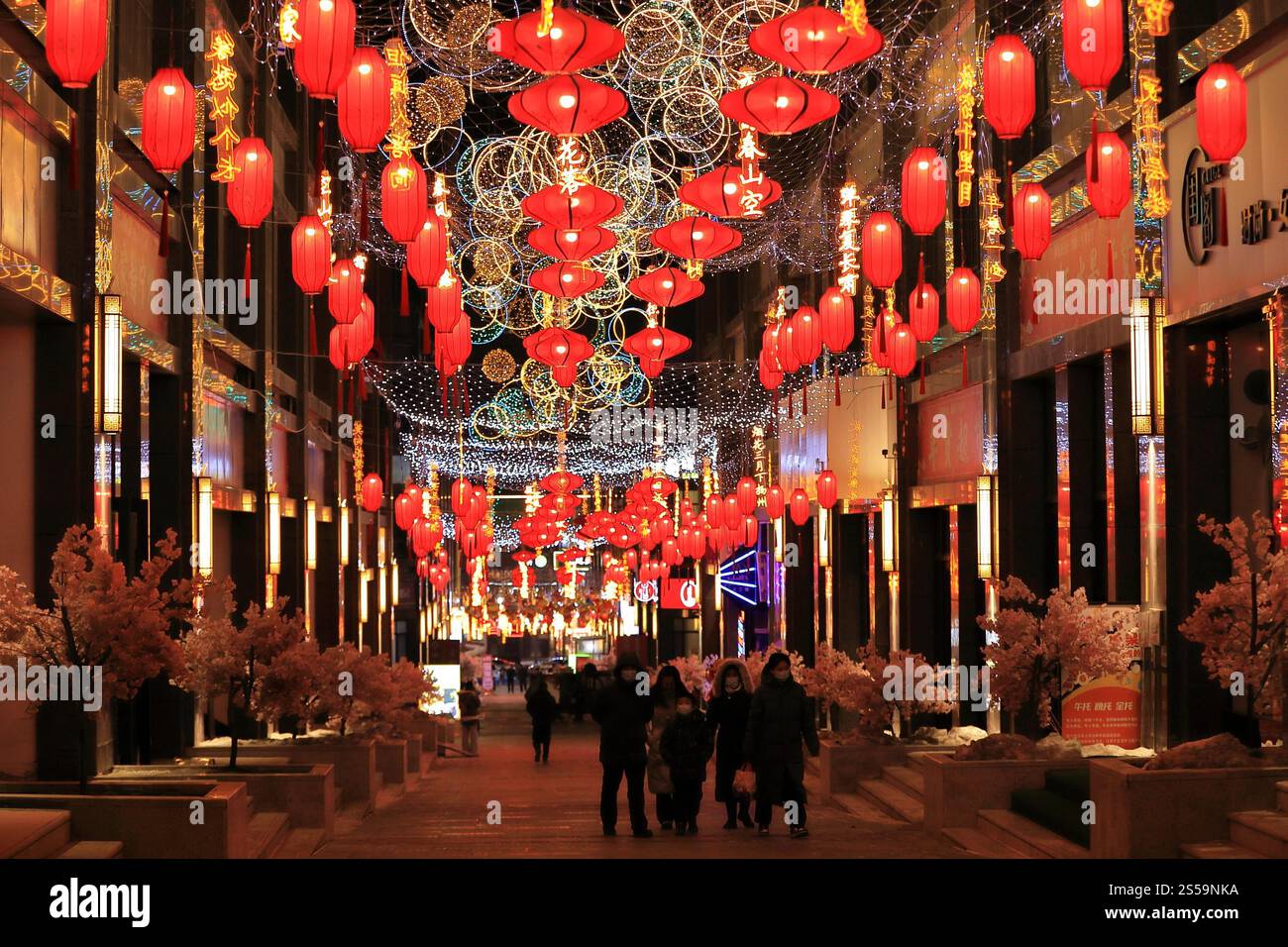 Festive lanterns and lights attract people in Dingxi City, northwest ...