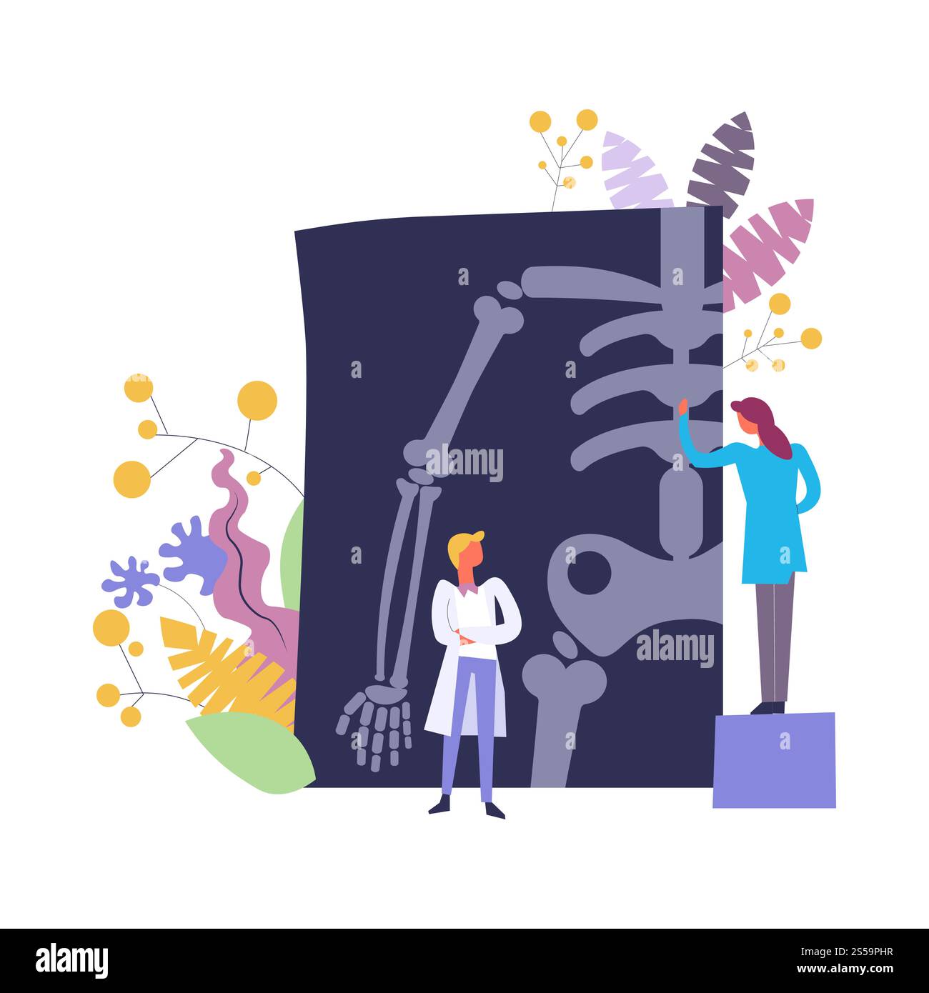 Doctors discussing and examining x ray of patient results vector ...