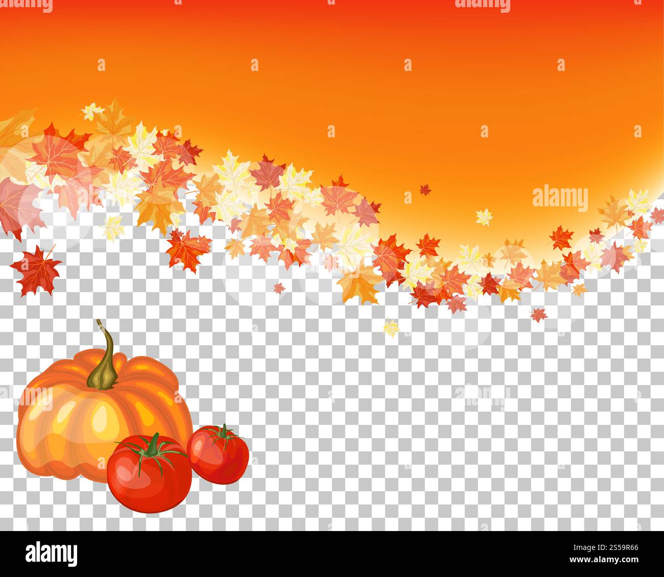 Fall (Autumn) Maple Background. Transparency Grid Design. Vector ...