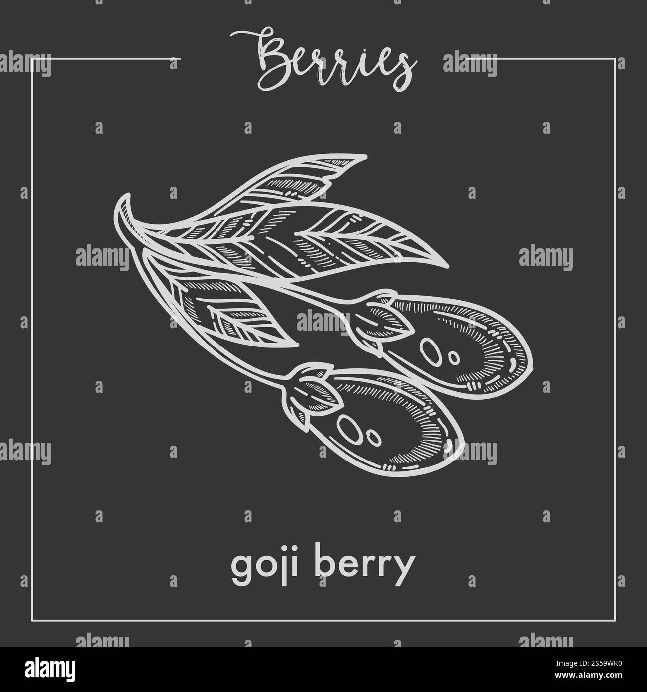 Goji berry on short stem with leaves monochrome sepia sketch. Ripe ...