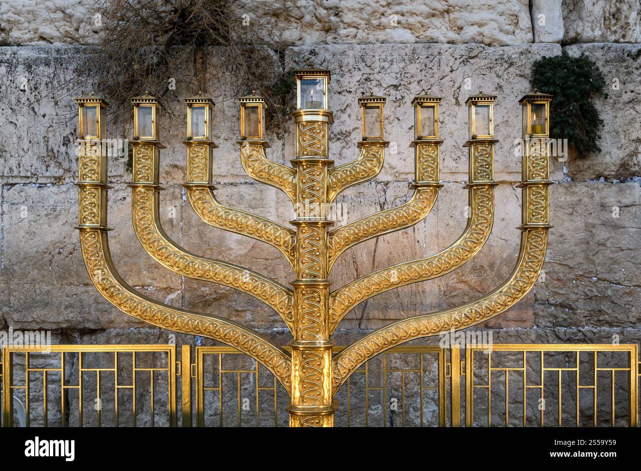 The official, golden Hanukkah menorah of the Western Wall in Jerusalem ...