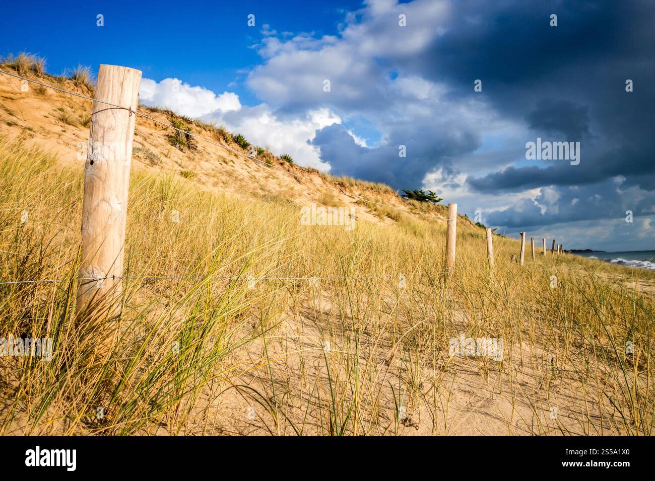 Sand dune and fence on a beach, Re Island, France. Cloudy background ...