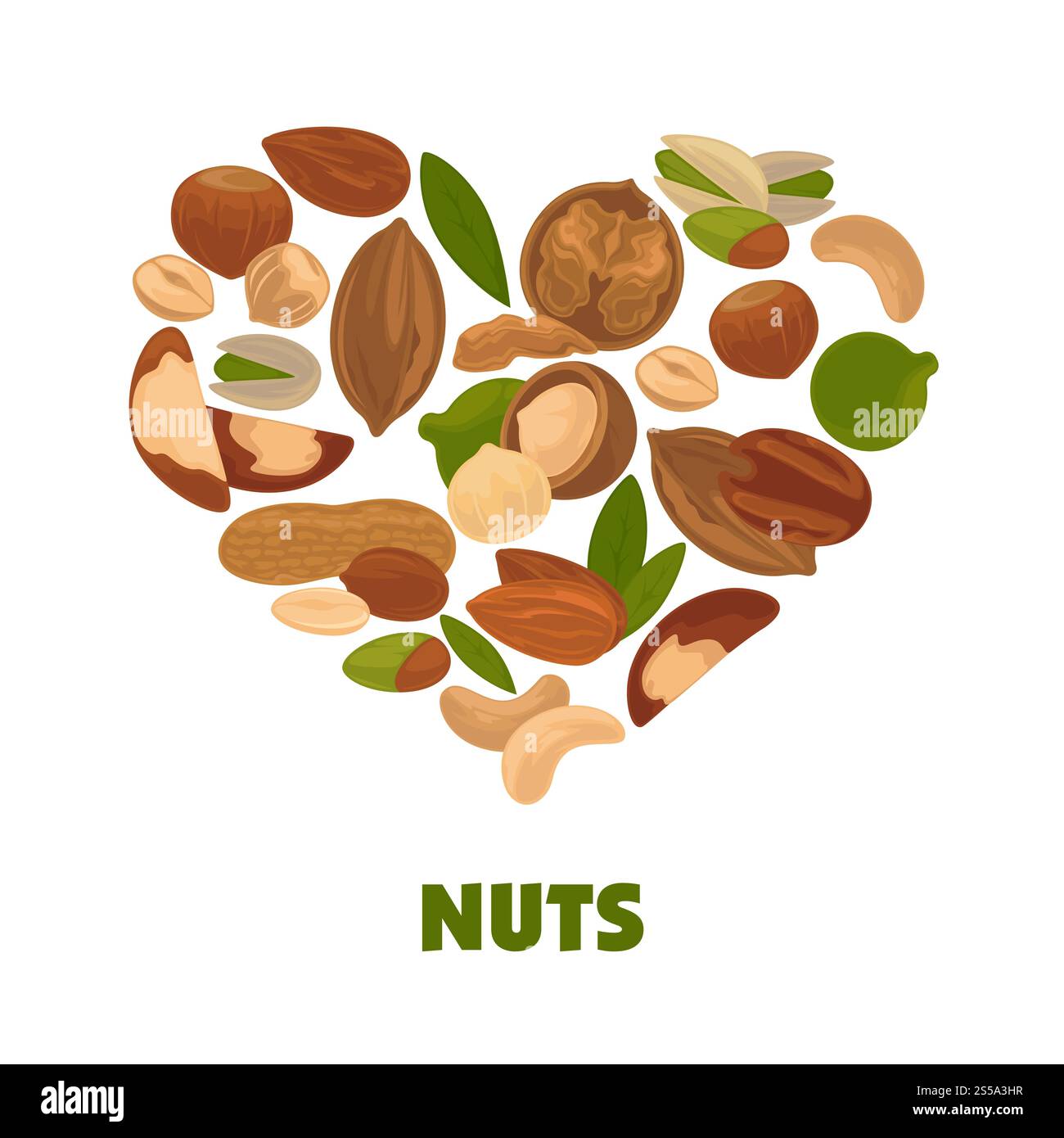 Delicious nutritious nuts advertisement banner with italic sign inside ...