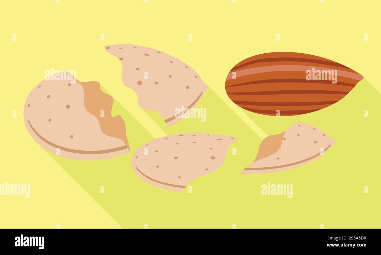 Cracked almond icon. Flat illustration of cracked almond vector icon ...
